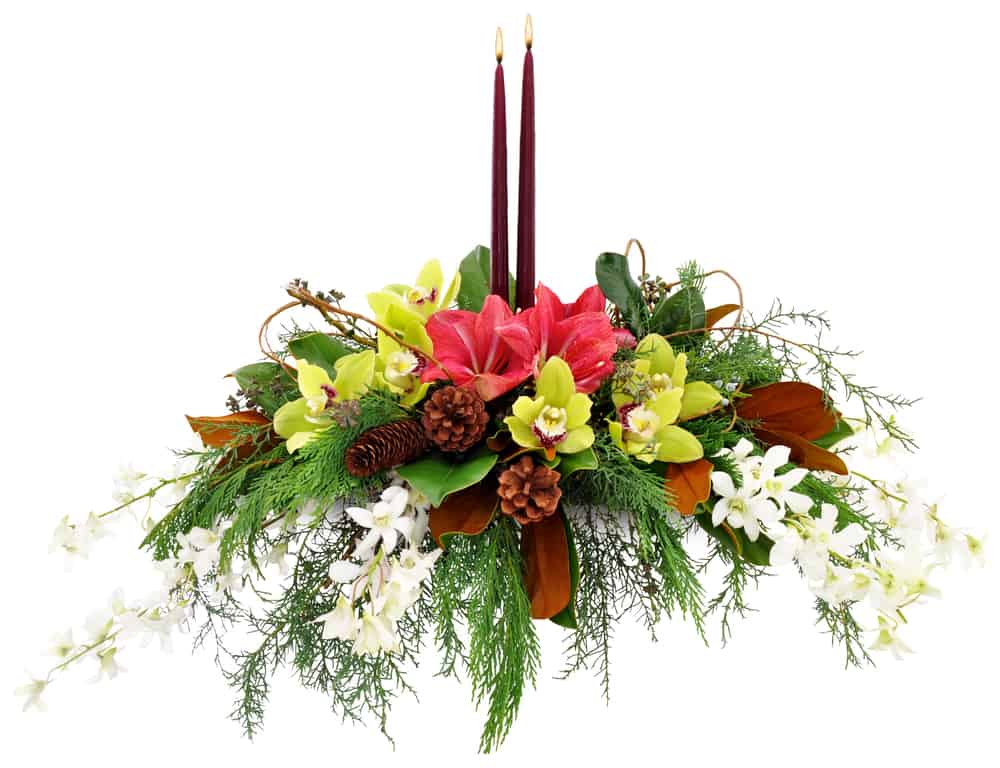 Stunning Winter Flowers - Adrian Durban Florist